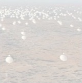 Research interests – Jennifer Schober